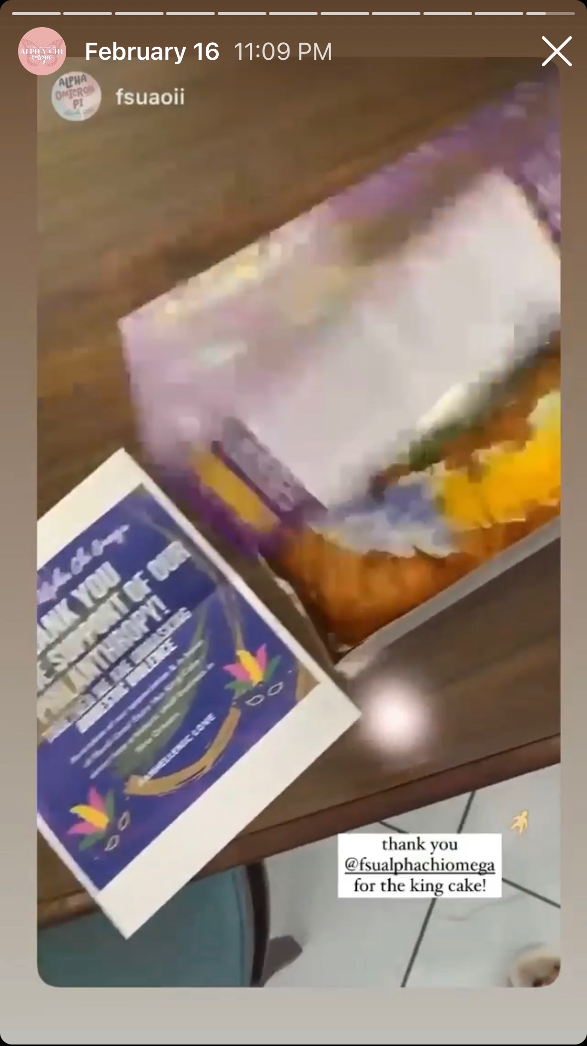 Chapter celebrates Mardi Gras – FSU Alpha Chi Omega